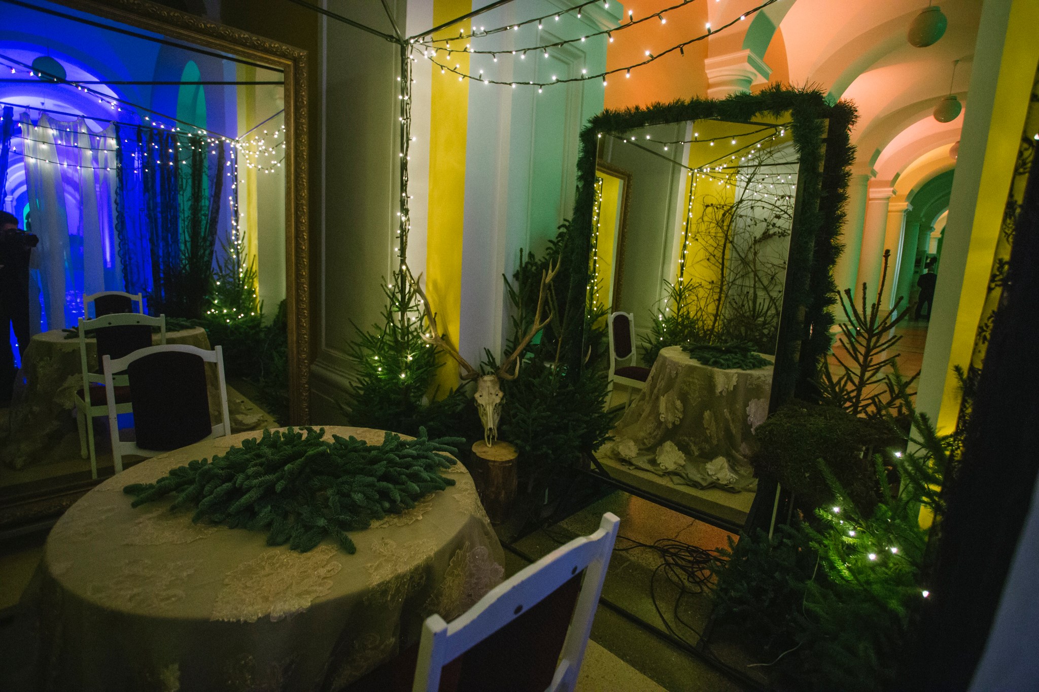 Brieža ragi - dekonoma.lv