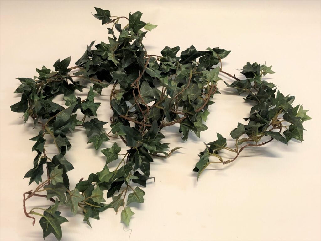 Tumšā efeja uz kāta - dekonoma.lv